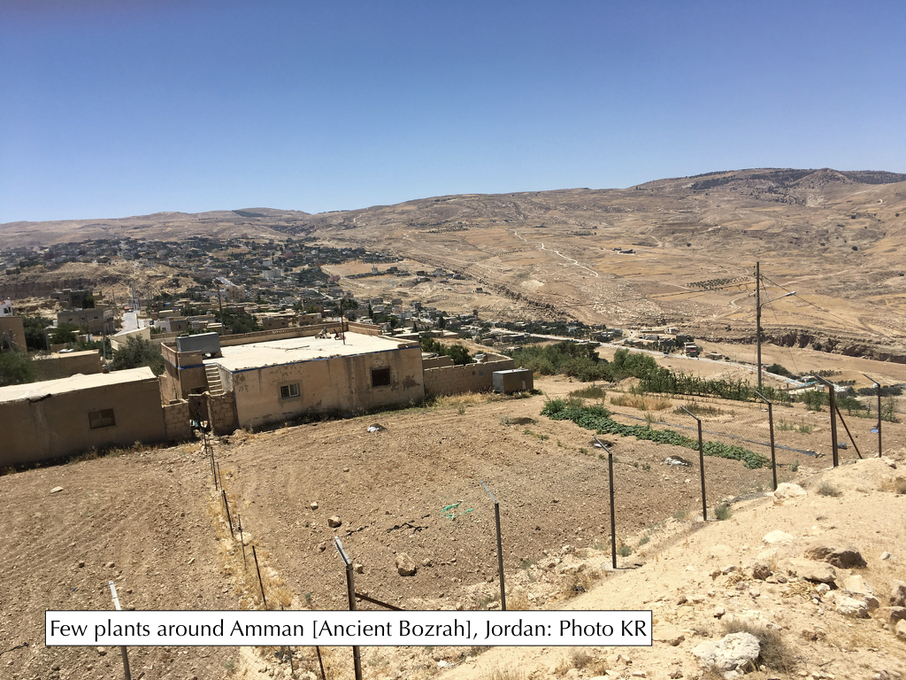 » edom-part-1-images.011-1 Savage Street Church of Christ